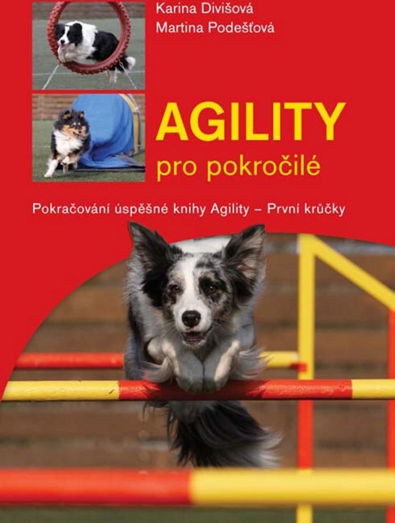 Agility pro pokročilé Škola a výuka | Kaufland.cz
