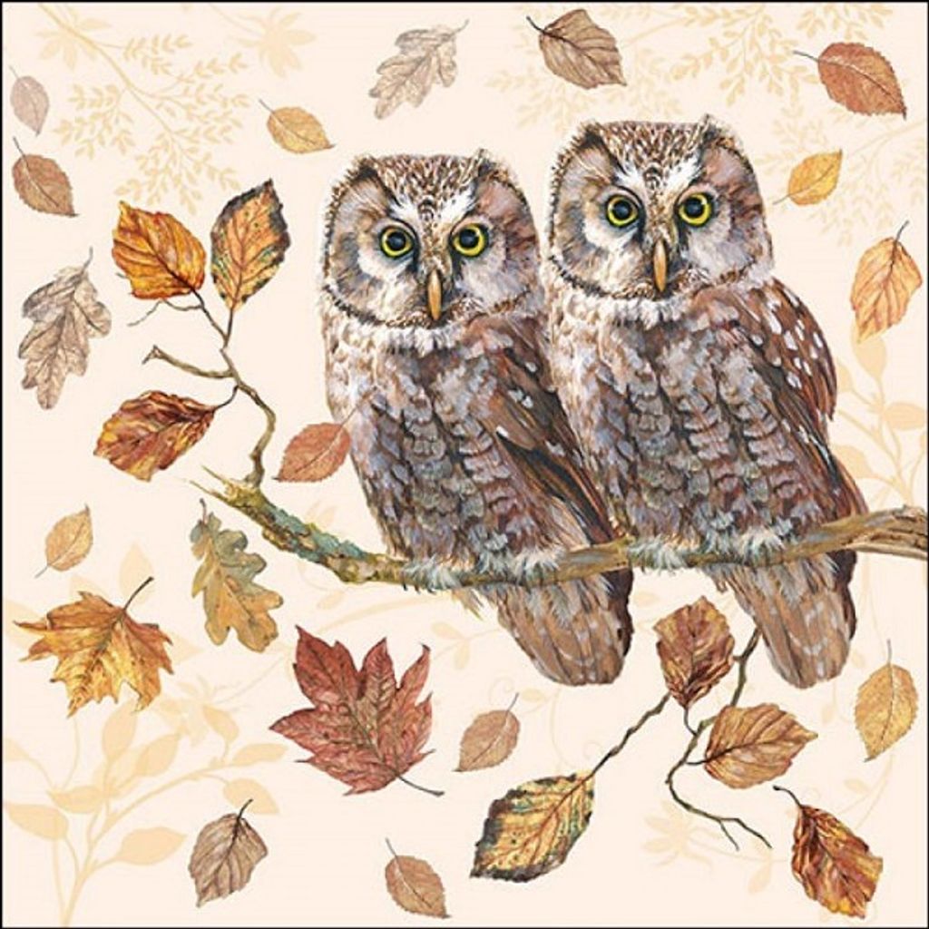 RP 20 Servietten Owl Couple - Eulenpaar im Herbst 33x33cm
