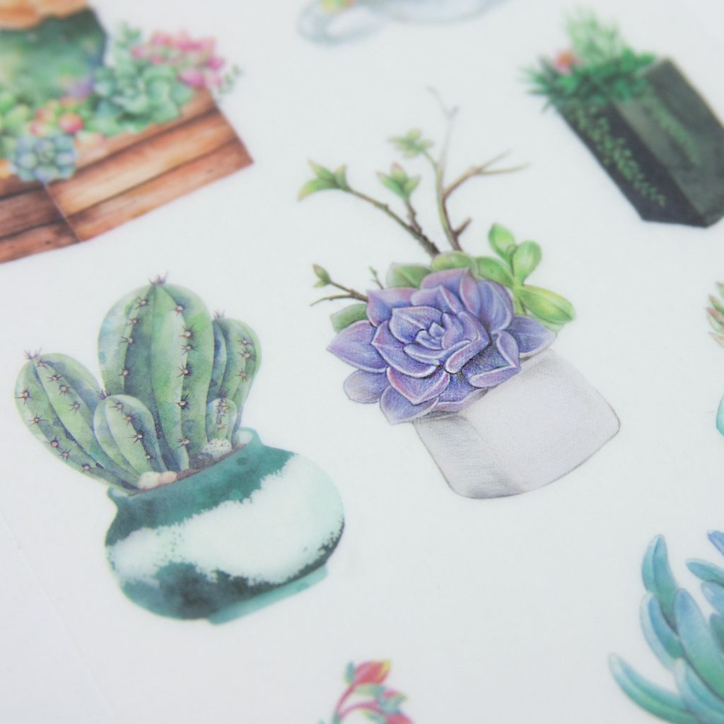 Oblique Unique 22 Kakteen Sticker Blumen | Kaufland.de