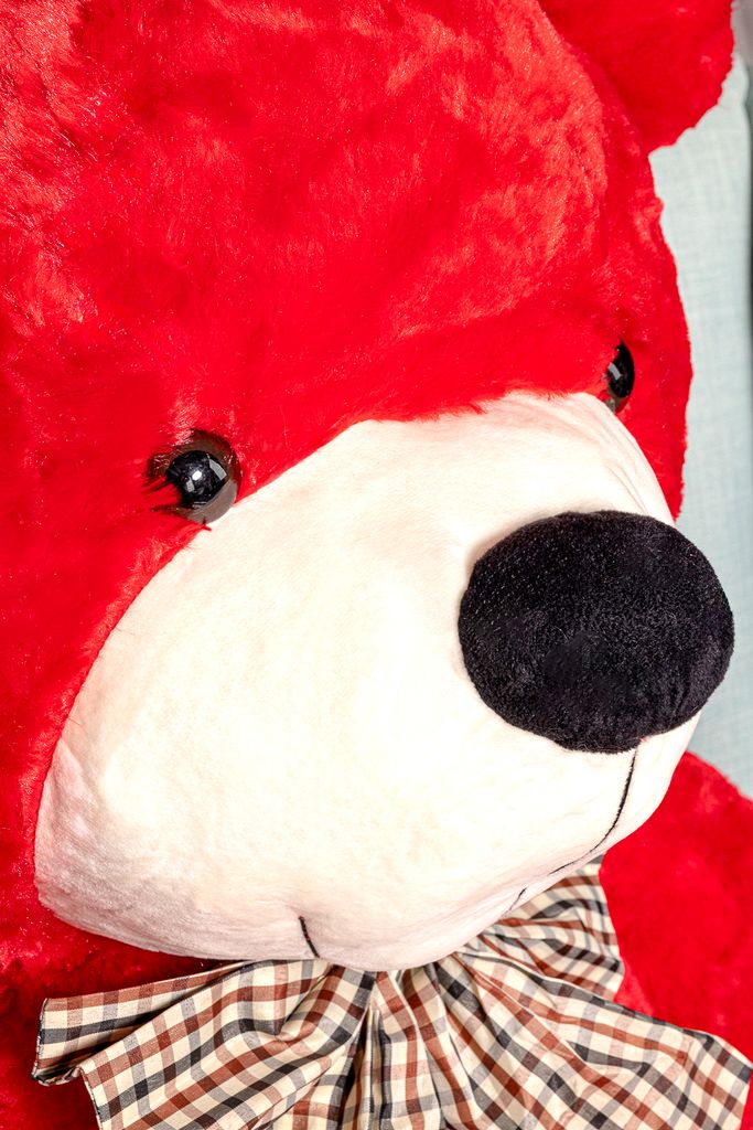 Gustaw Teddybär Groß XXL (Rot, 50cm) Classico | Kaufland.de