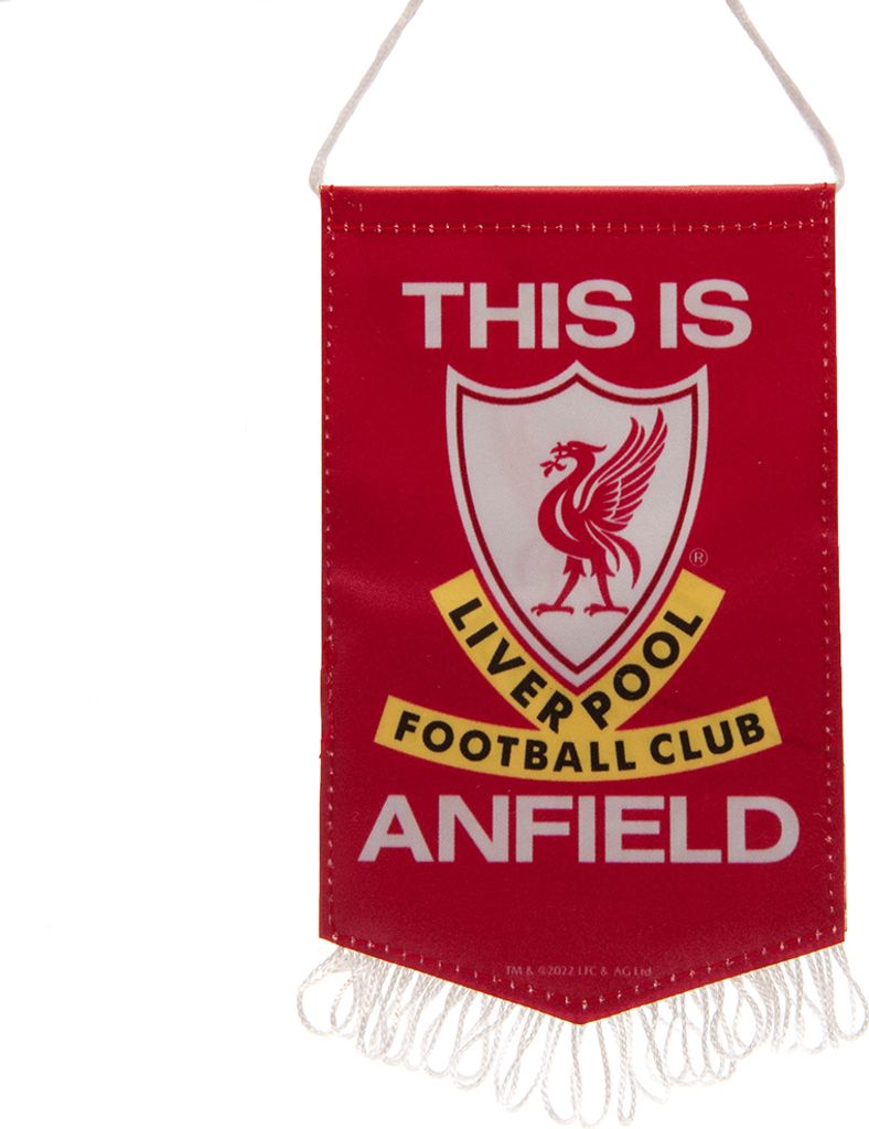 Liverpool FC - Wimpel "This Is Anfield", Mini | Kaufland.de