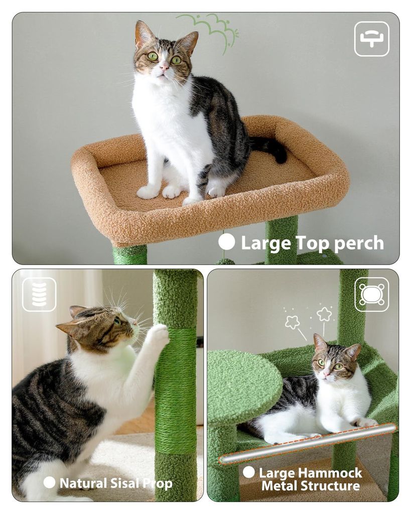 PurpurRain Katzenbaum für große Katzen mit | Kaufland.de
