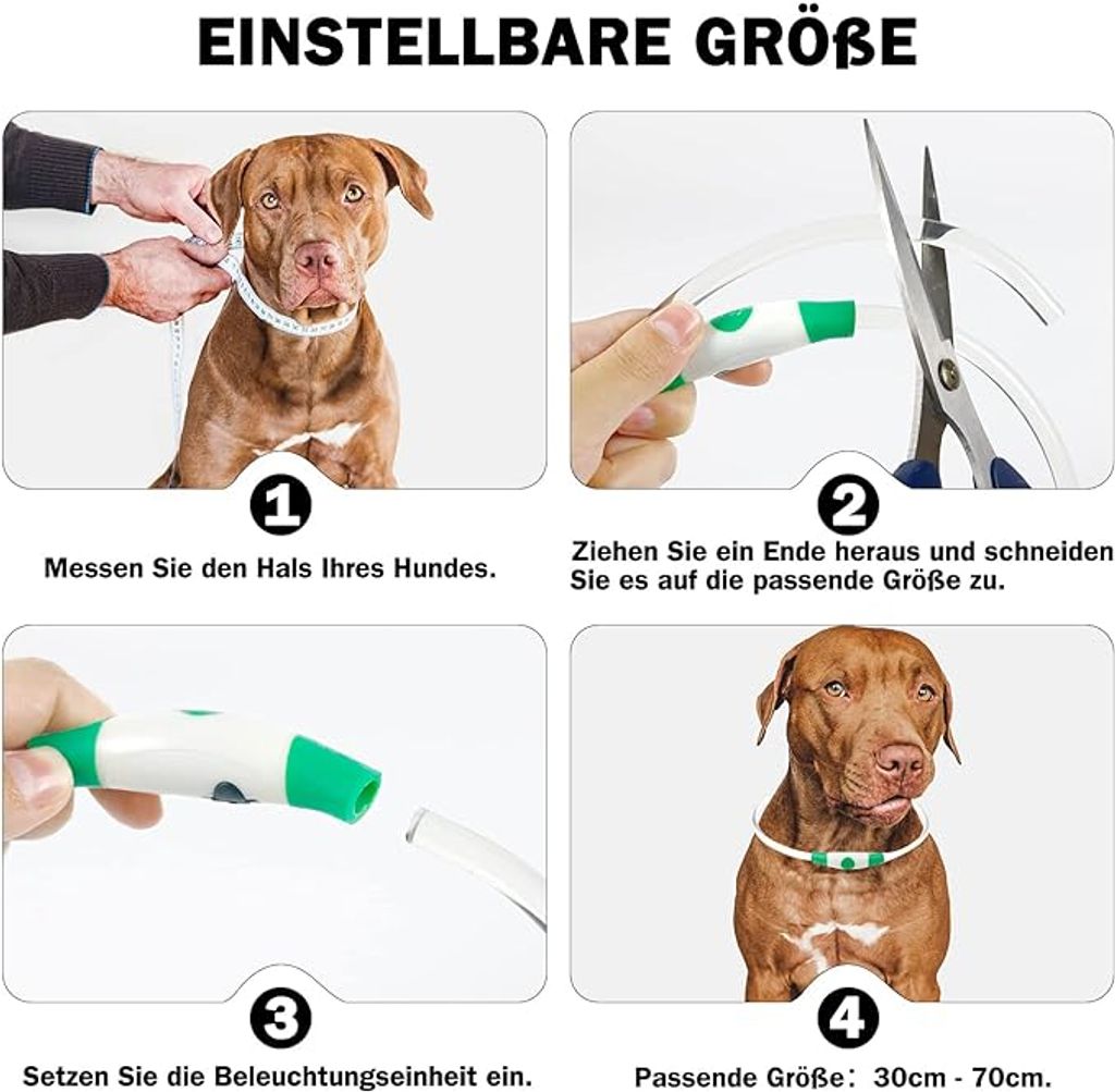 FNCF Leuchthalsband Hund, Hundehalsband | Kaufland.de