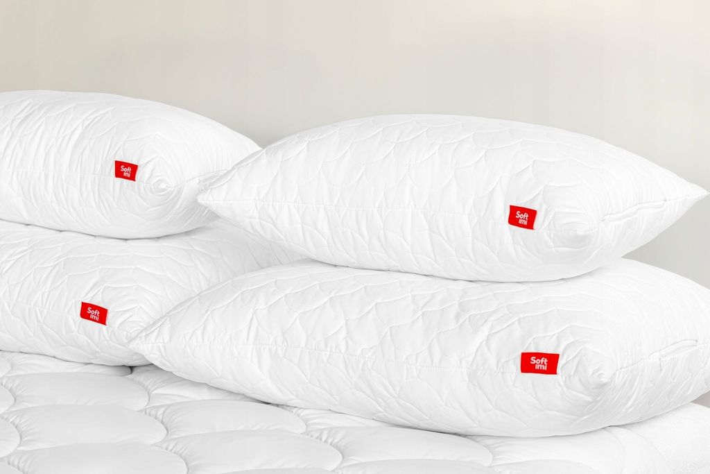 2 x SLEEP PUSH CUSHION 45X45 ANTIO-ALLERGIC | Kaufland.cz