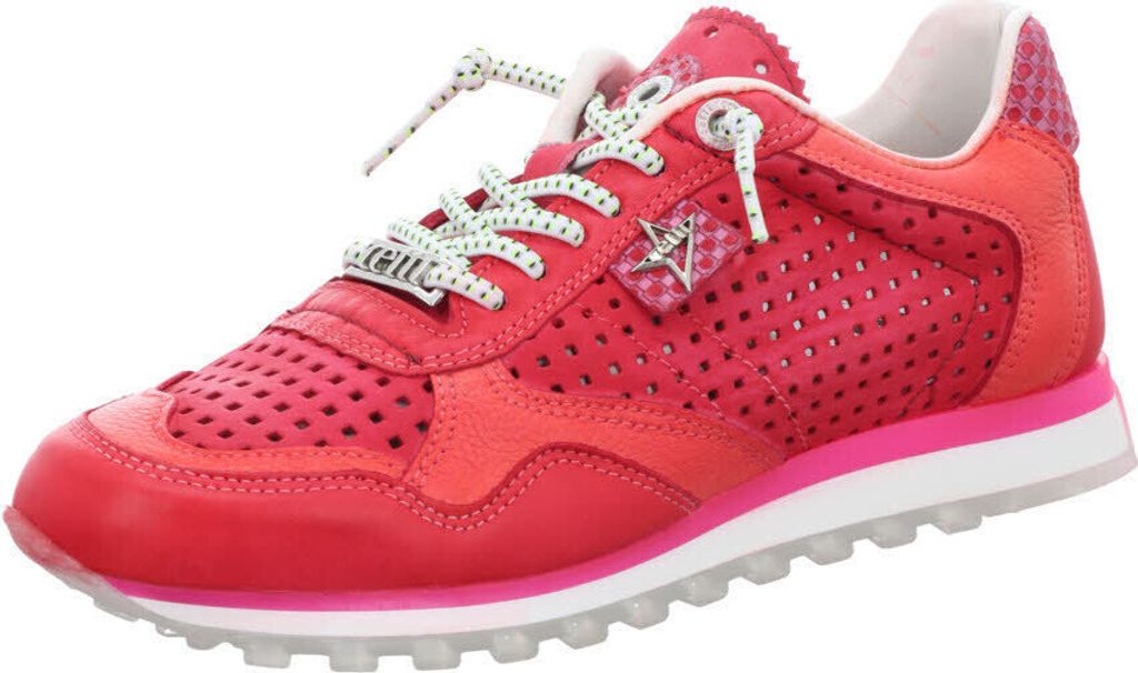 Cetti Sneaker Damen Neue Kollektion