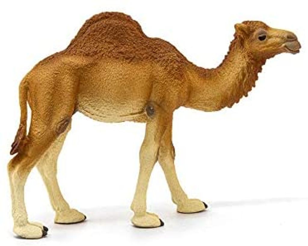 Dromedár Schleich Figurky zvířat | Kaufland.cz