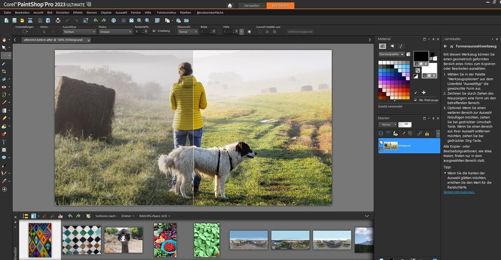 Corel PaintShop Pro 2023 ULTIMATE, Windows | Kaufland.de