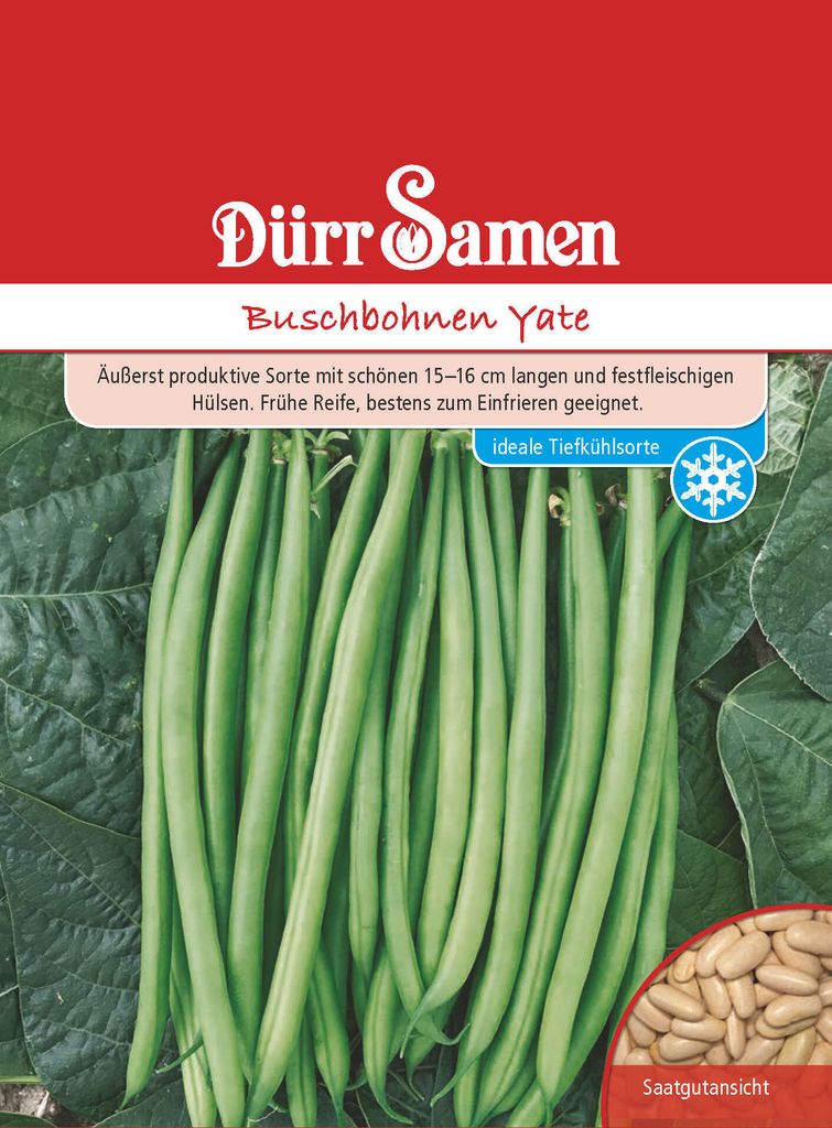 Buschbohne Yate | Buschbohnensamen von Dürr | Kaufland.de