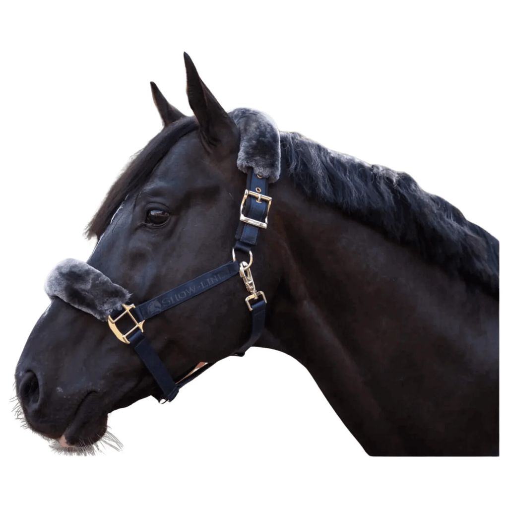 Bucas Show-Line Halter, barva:Navy/Grey, | Kaufland.cz