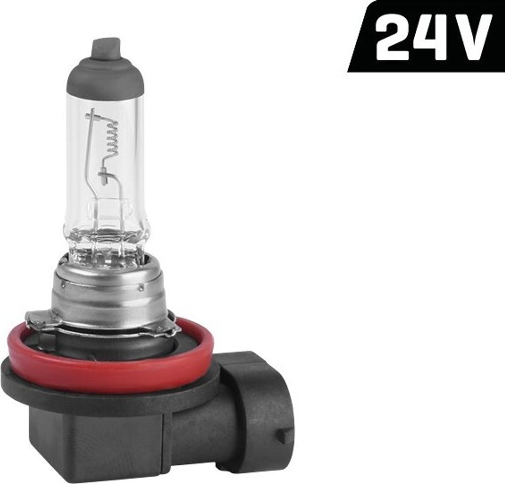 VISION H11 24V 70W PGJ19-2 U E4 Glühlampe | Kaufland.de