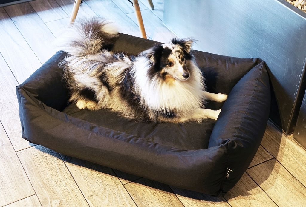 4L Textil Pelíšek pro psa Koko, barva: èerný | Kaufland.cz