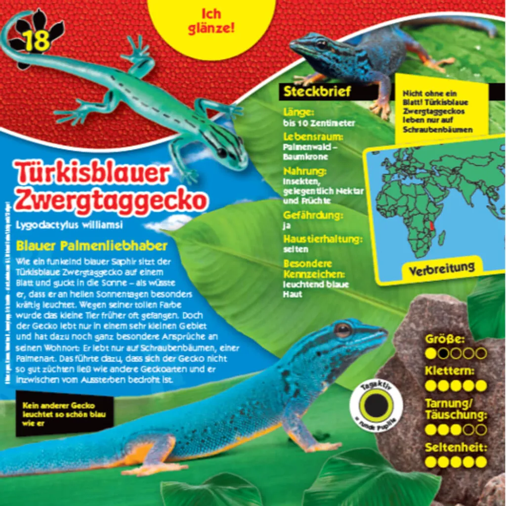 Blue Ocean Geckos Sammelfiguren 2023 - Planet | Kaufland.de