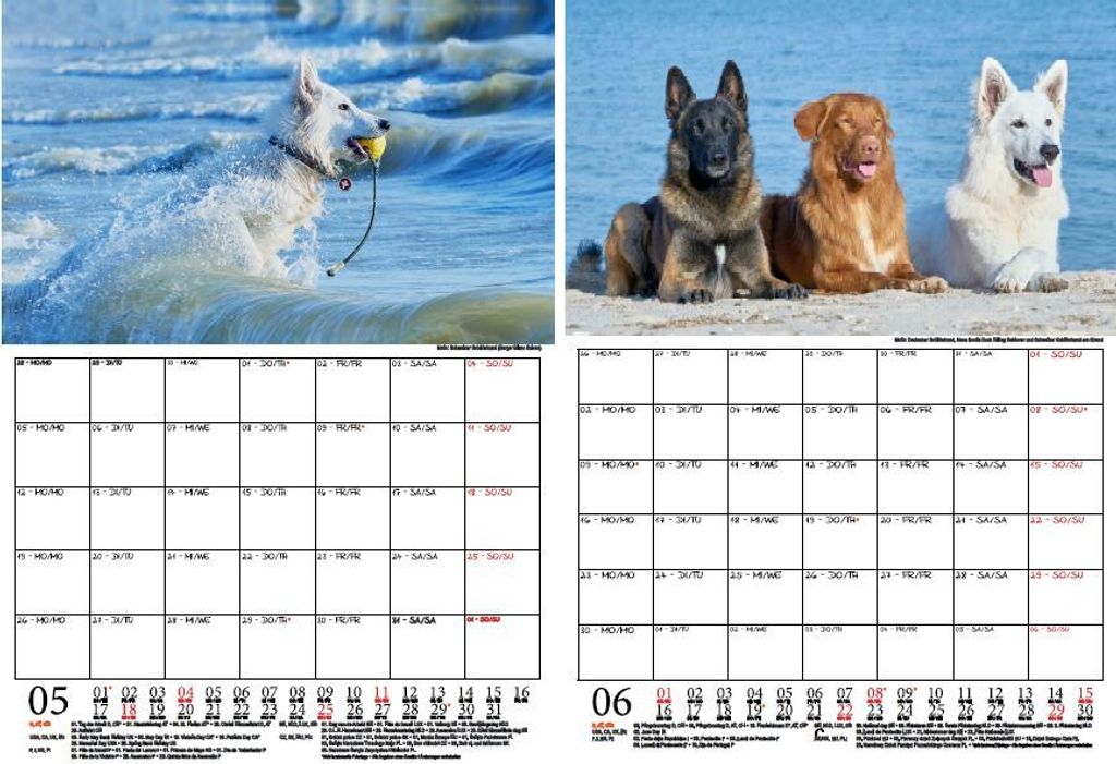 Hundezauber Schäferhunde Planer DIN A4 | Kaufland.de