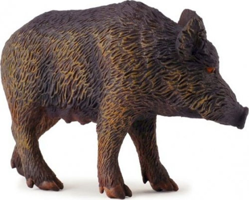 COLLECTA Diviak Bachyně Figúrka zvierat | Kaufland.sk