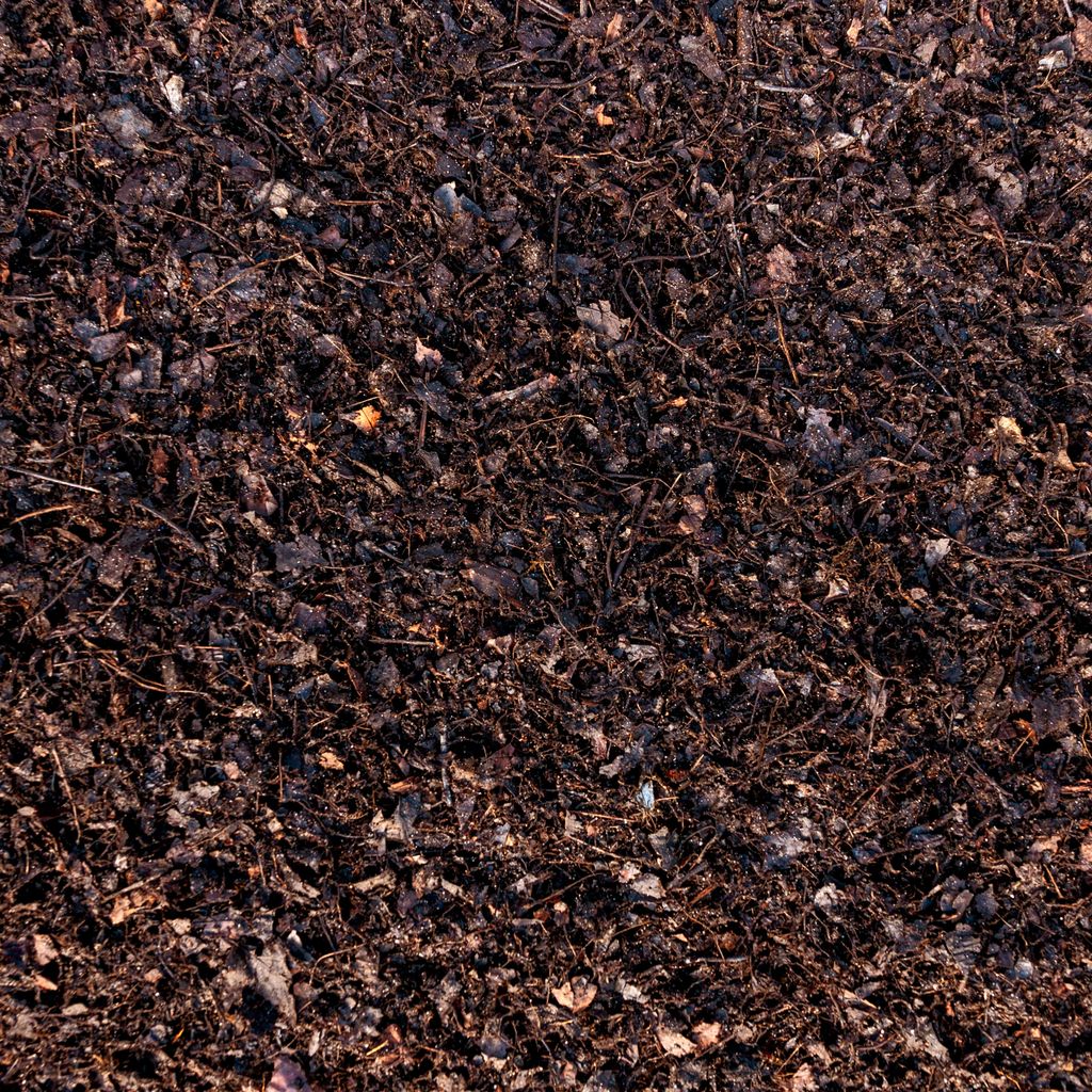 Gärtnerkompost torffrei Komposterde Humus | Kaufland.de
