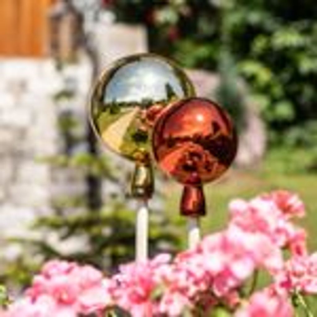 Rosenkugel Fur Den Garten