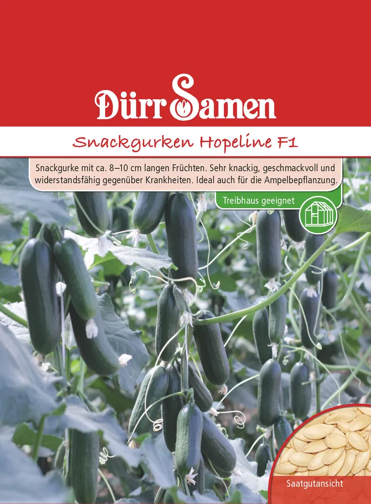 Dürr-Samen - Snackgurken Hopeline F1 - | Kaufland.de