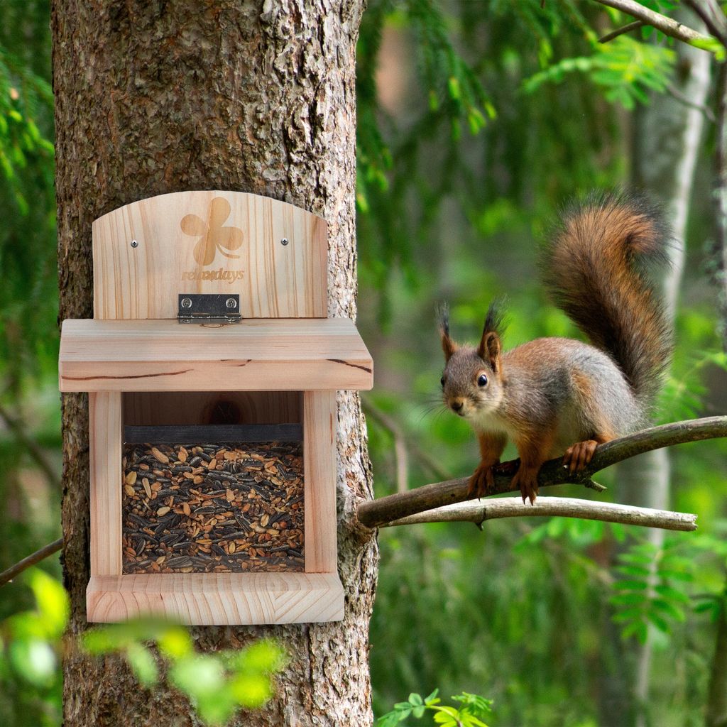 relaxdays Eichhörnchen Futterhaus aus Holz | Kaufland.de