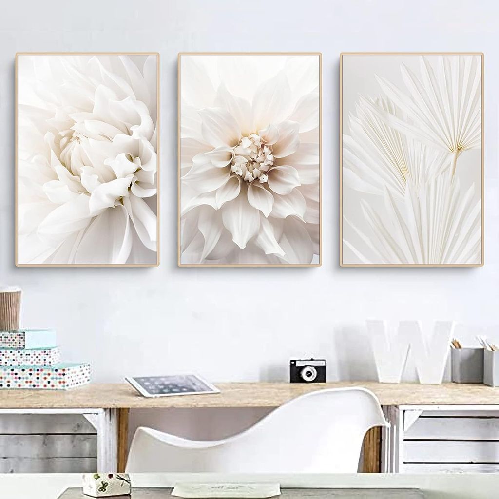 3er Poster Set Weiß Rose Blume Bilder, Ohne | Kaufland.de