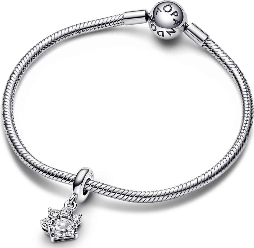 Pandora 792247C01 Šumivý přívěsek s potiskem | Kaufland.cz