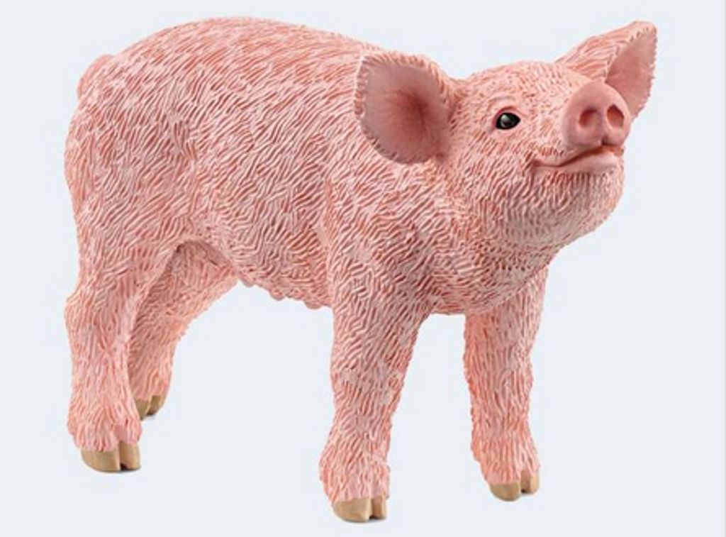 Schleich 13934 - Farm World, Ferkel, | Kaufland.de