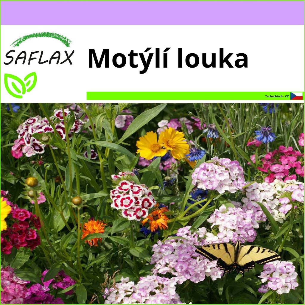 SAFLAX - motýlí louka - Mix - 1000 Semena | Kaufland.cz
