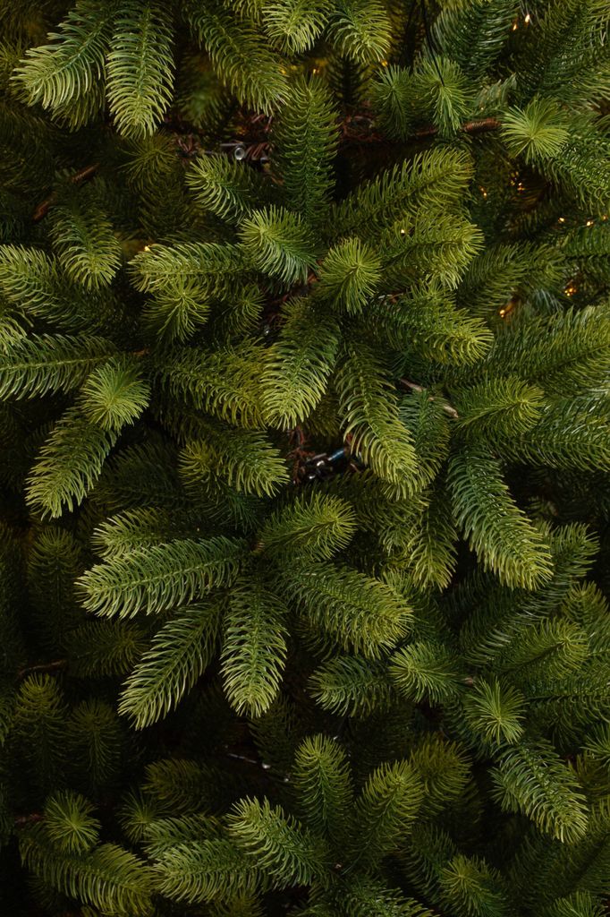 Black Box Trees Nagoya Künstlicher | Kaufland.de