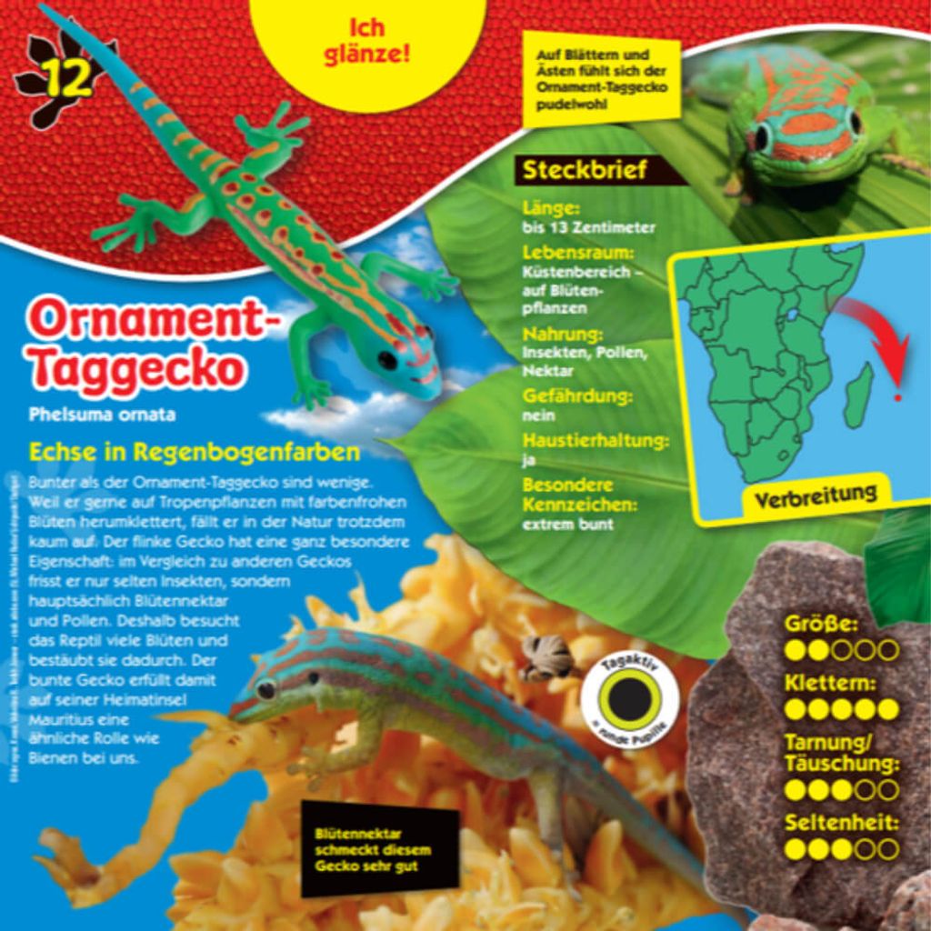 Blue Ocean Geckos Sammelfiguren 2023 - Planet | Kaufland.de