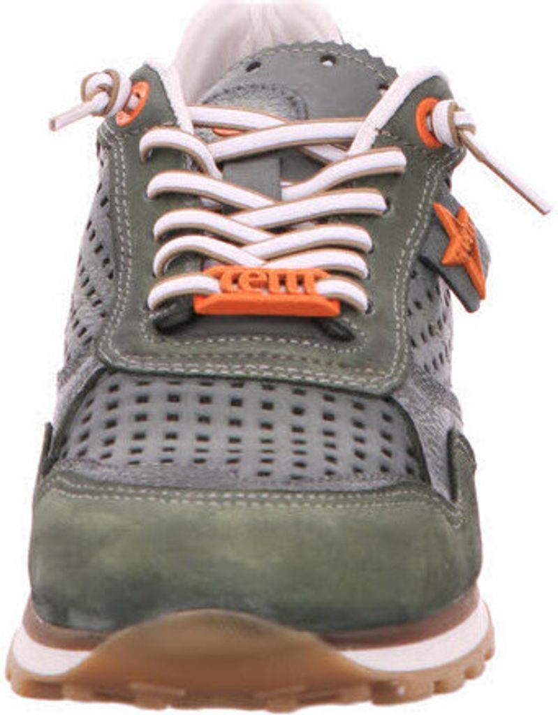 Cetti Sneaker Low Herren 31373236373037 Grün | Kaufland.de