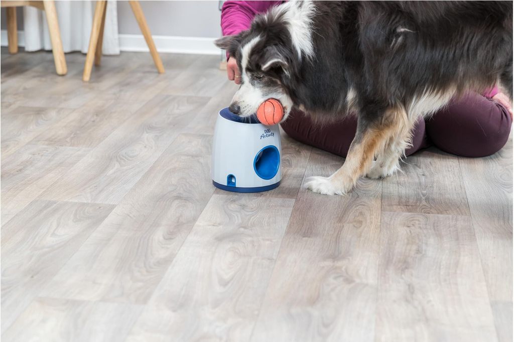 TRIXIE 2-in-1 Strategiespiel | Kaufland.de