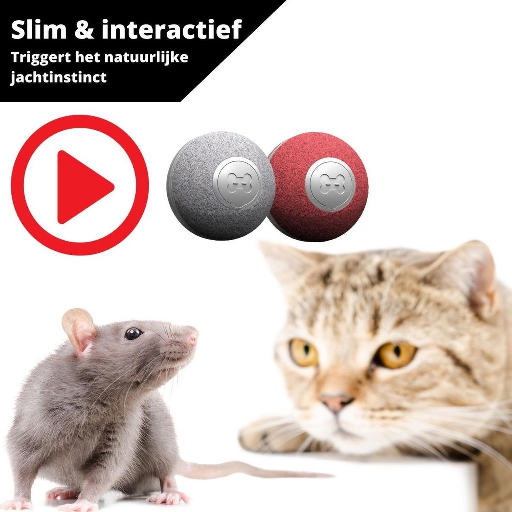CHEERBLE Smart Mini Ball Interaktiver Ball | Kaufland.de