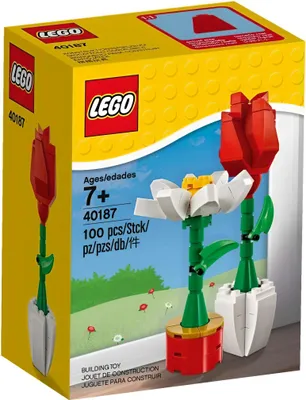 Lego® květiny za skvělé ceny | Kaufland.cz