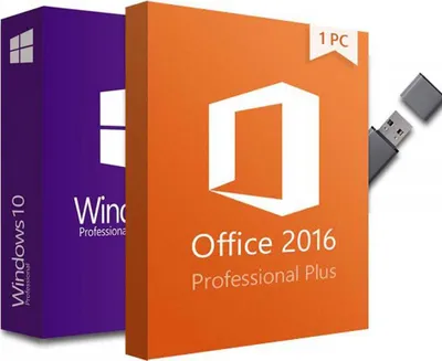 Microsoft Office 2024 Professional Plus | Kaufland.de