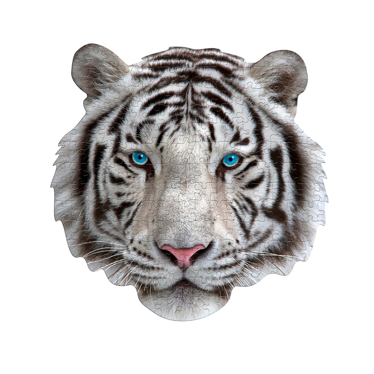 Puzzle de contour 300 Je suis - Tigre blanc