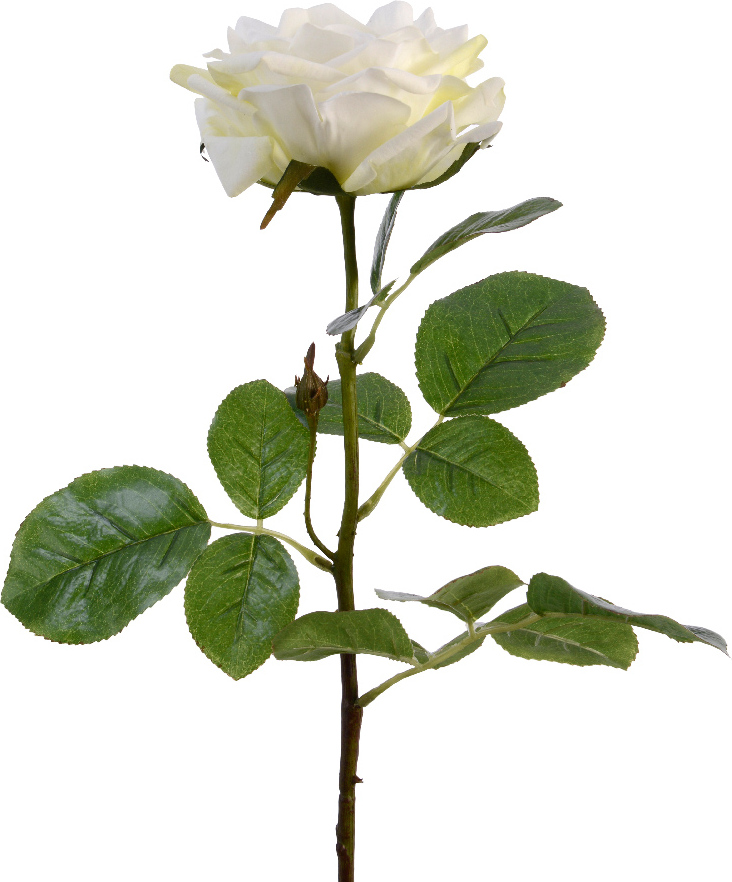 Kunstblumen Rose mit Stiel 68cm Real Touch | Kaufland.de