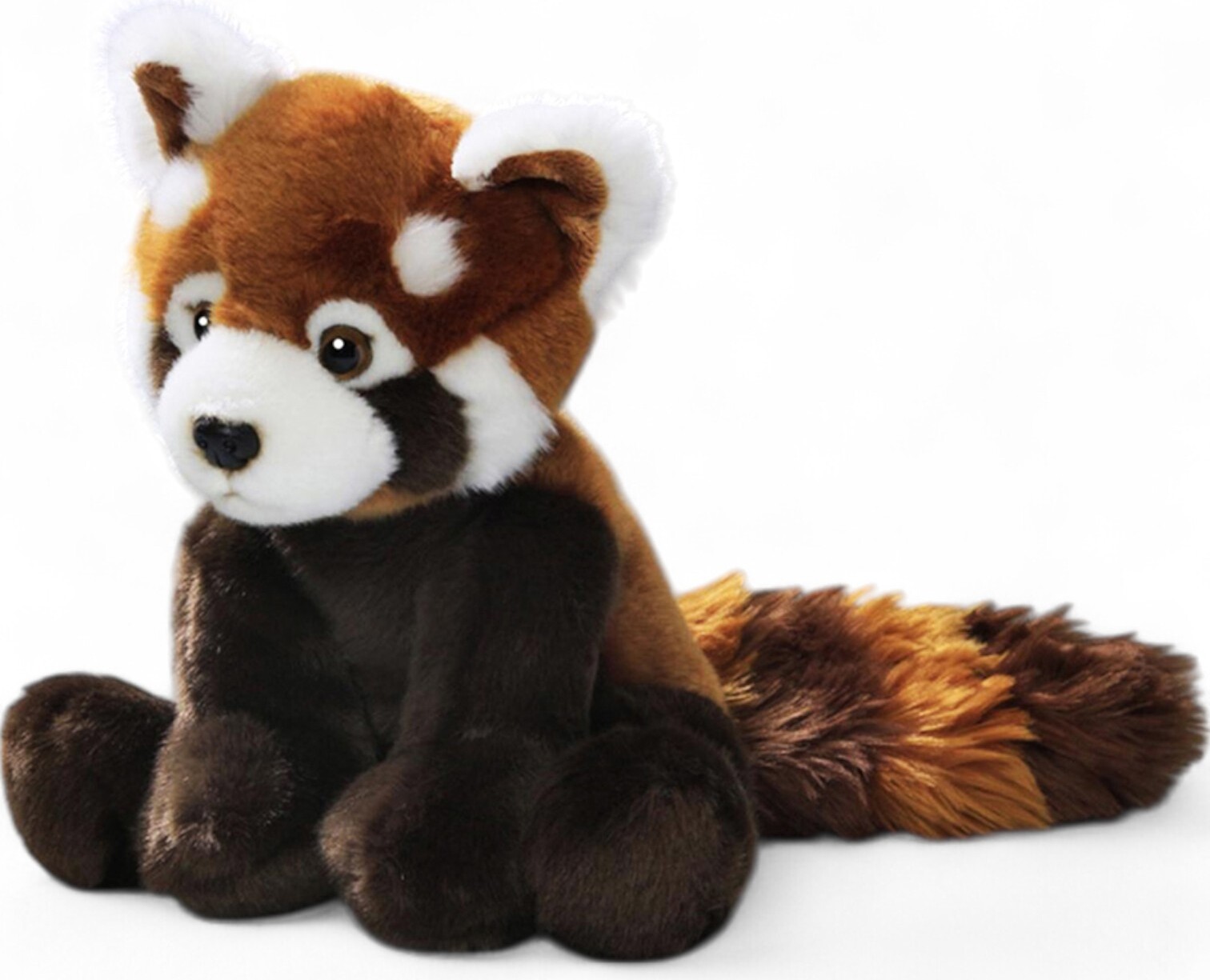 Carl Dick czerwona panda, kot niedźwiedź siedzący ok. 25