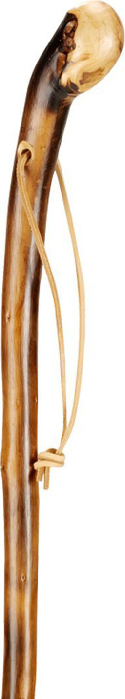 Hirtenstock mit Naturwurzel und Lederschlaufe | Kaufland.de