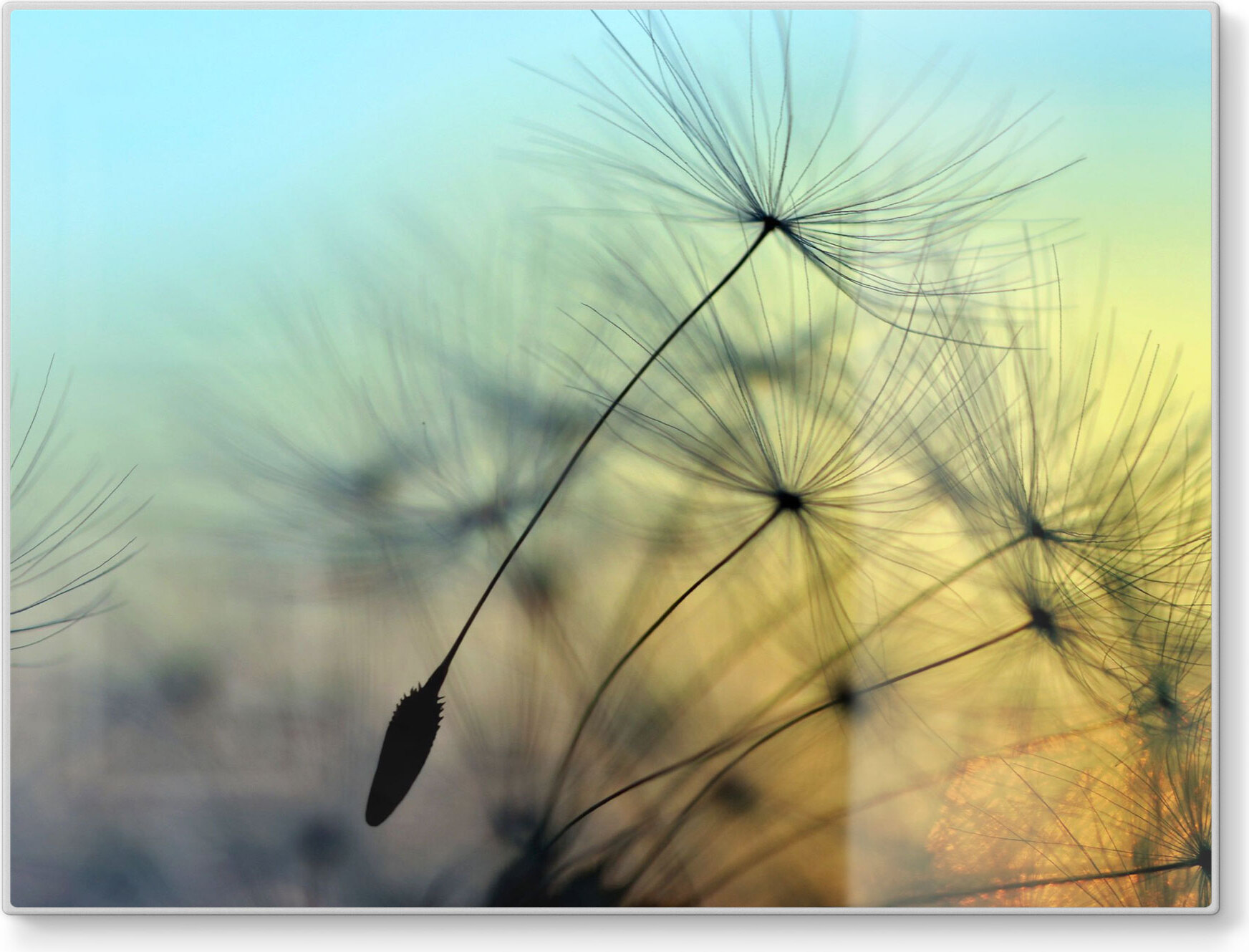 DEQORI Schneidebrett Glas 40x30 cm | Kaufland.de