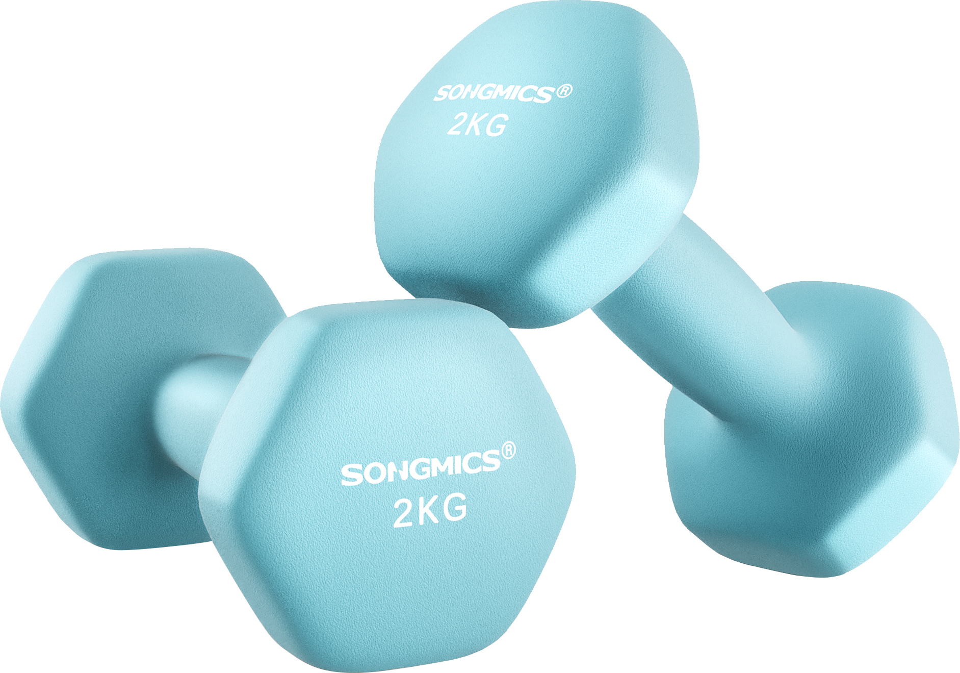 SONGMICS Hanteln, 2er Set, 2 x 2 kg, | Kaufland.de