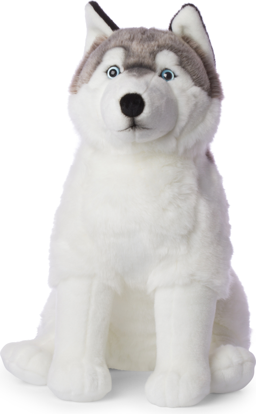 WWF - Plyšová hračka - Husky (sediaci, 70 cm) | Kaufland.sk