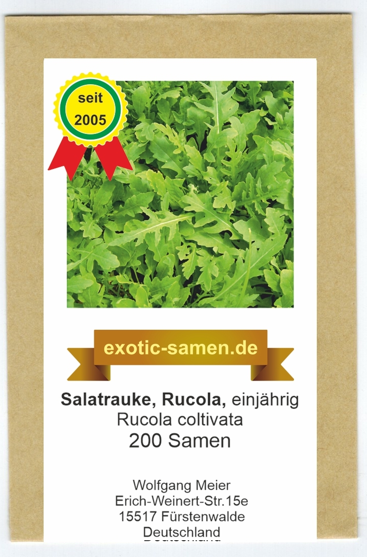 Rucola - Salatrauke - einjährig - Rucola coltivata - 200