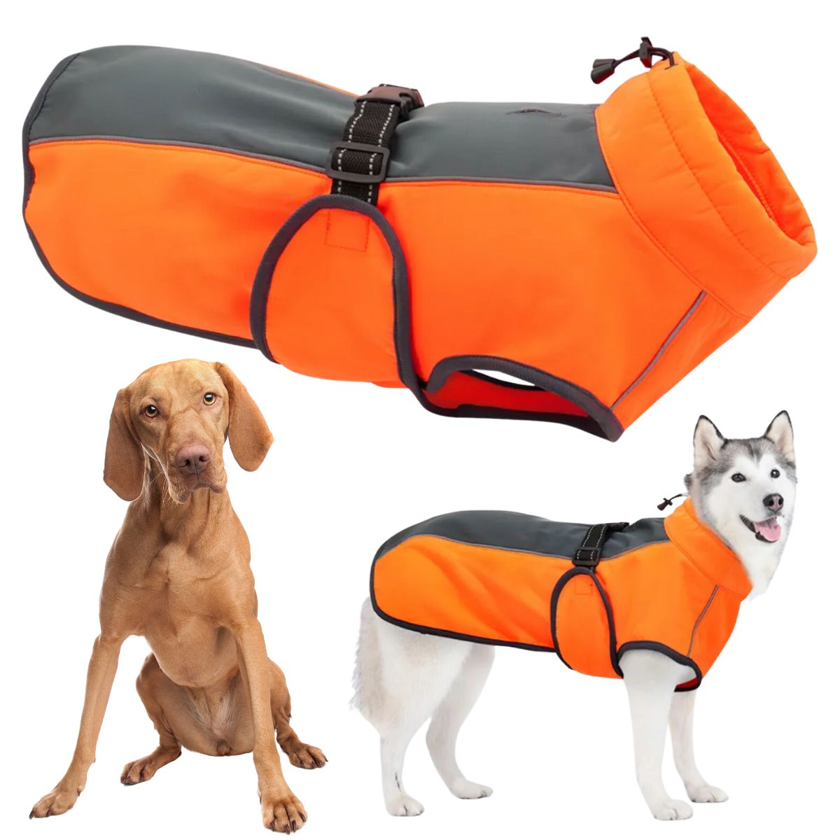 Großer warmer Hund SOFTSHELL wasserdichter | Kaufland.de