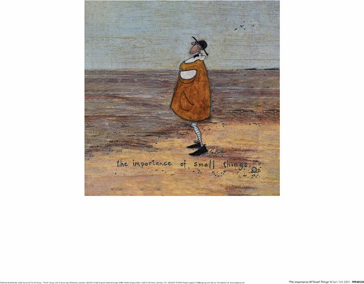 Sam Toft - imprimé "The Importance Of Small Things" PM5069