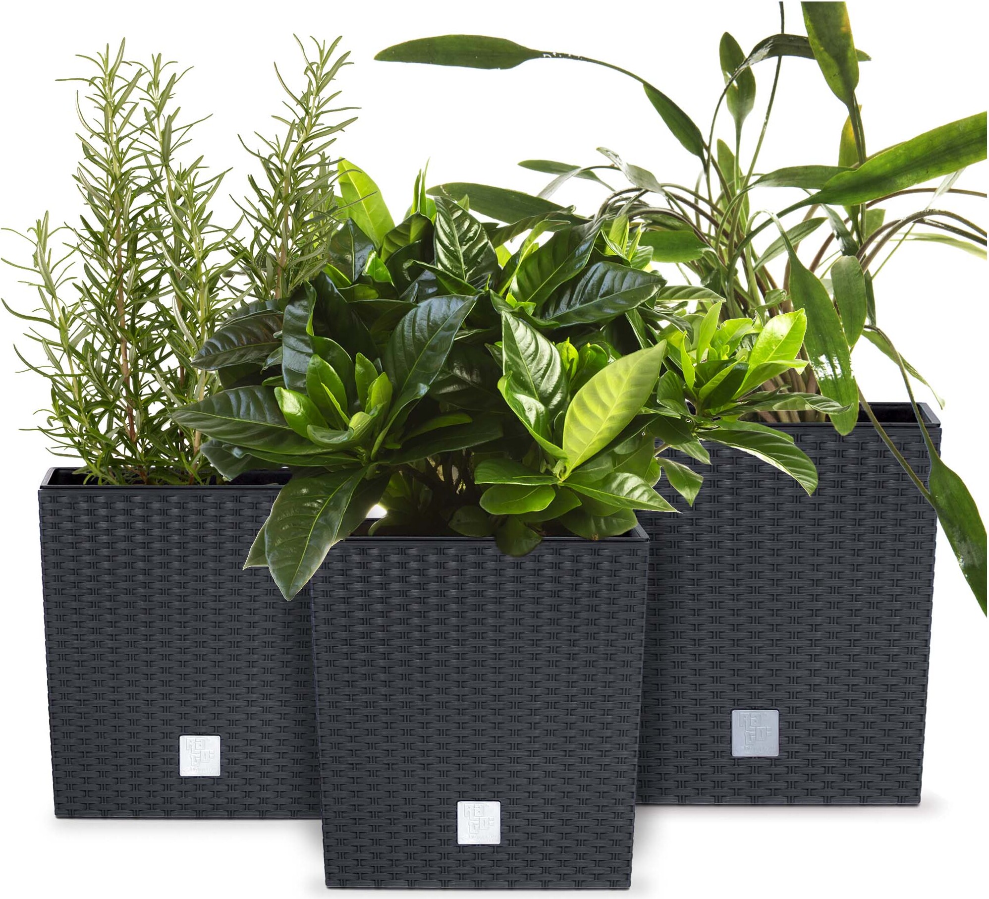 Prosperplast Pot Rato Low 20 Cm ; 22 Cm, 26 Cm, Anthracite-