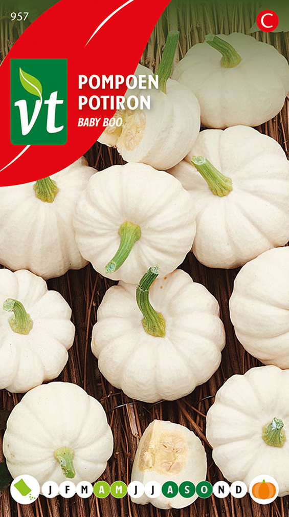 Pumpkin Baby Boo - přibl. 1 gr | Kaufland.cz