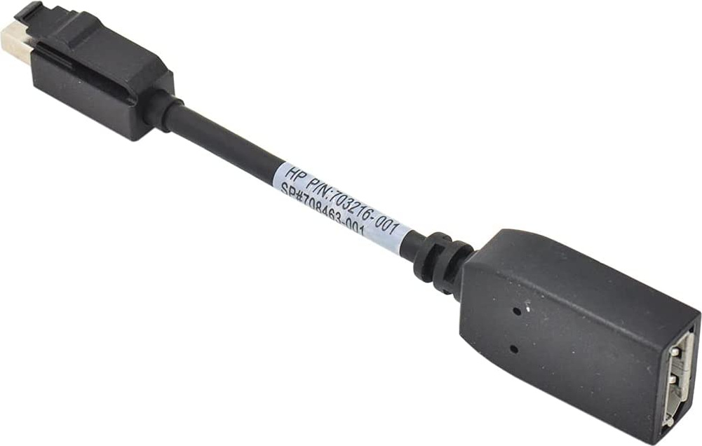 HP Mini-DisplayPort zu DisplayPort Adapter 703216-001