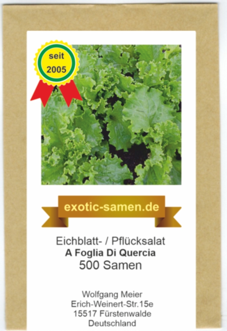 Eichblatt- / Pflück-, Schnitt-Salat - A | Kaufland.de