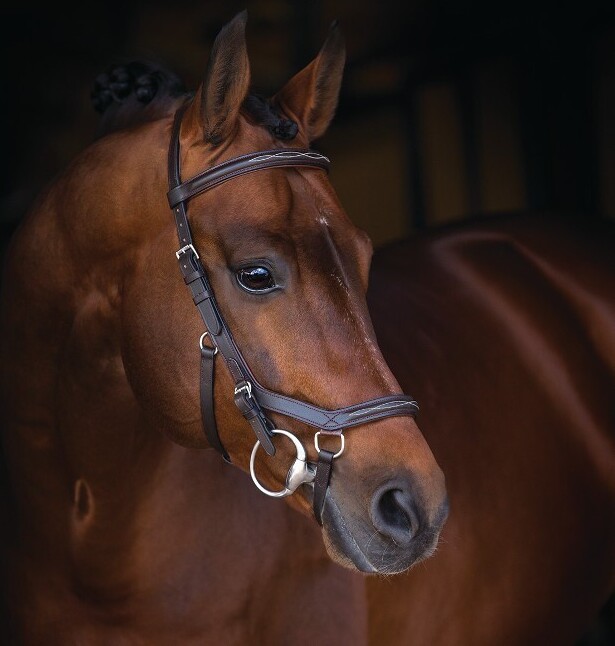Uzda konkursowa Horseware Rambo Micklem Deluxe - Dark