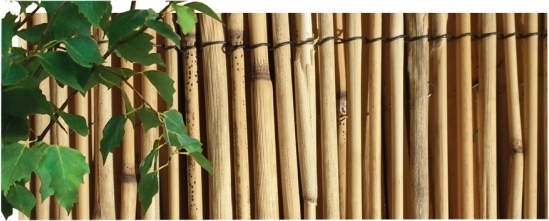 Rákosová rohož přírodní 1 x 5 m | Kaufland.cz