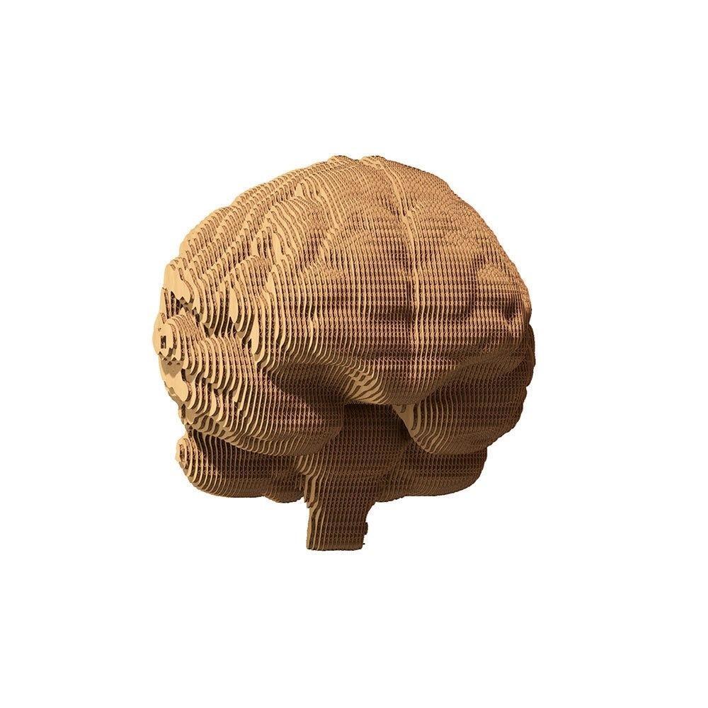 3D kartonové puzzle - mozek Klasická puzzle | Kaufland.cz